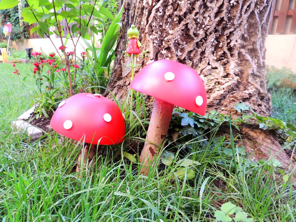 Proiect DIY: ciuperci de gradina | GabiRalea.ro | DIY & Living