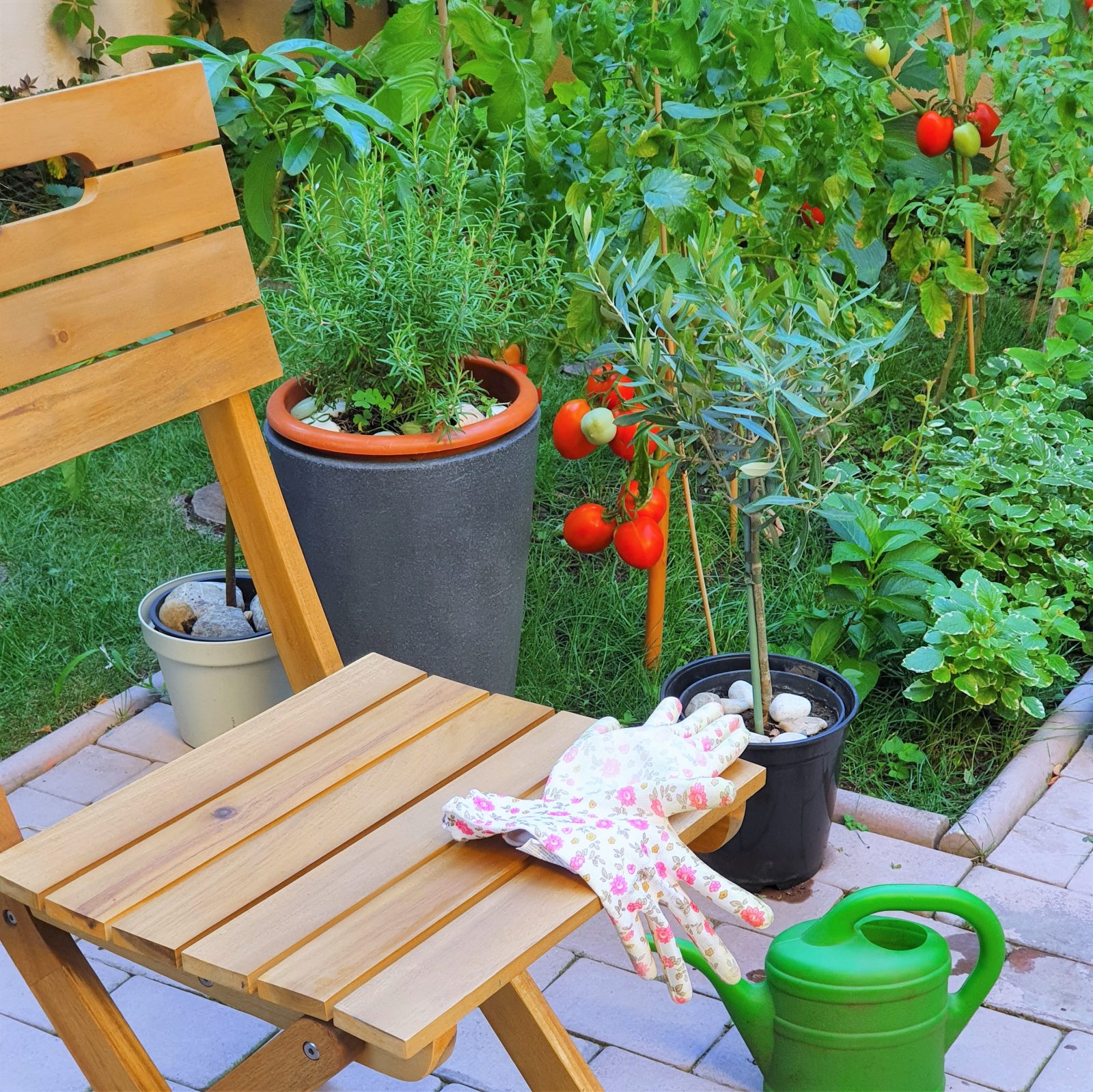 Spatii mici: 10 plante comestibile potrivite | GabiRalea.ro